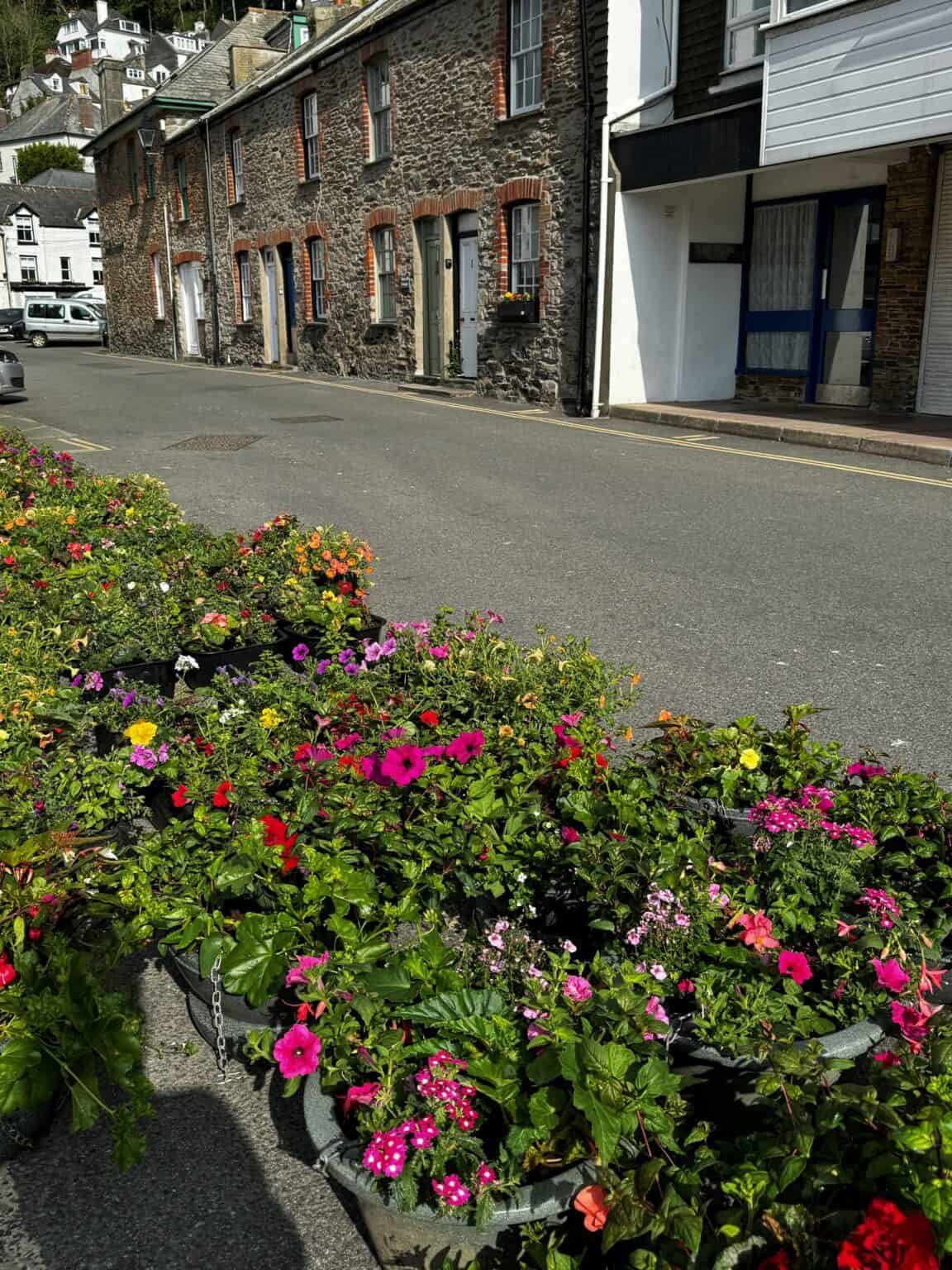 Looe is in Bloom! – Looe Town Council